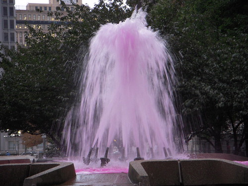 Artblog | Fall colors in the trees and in the City Hall fountain
