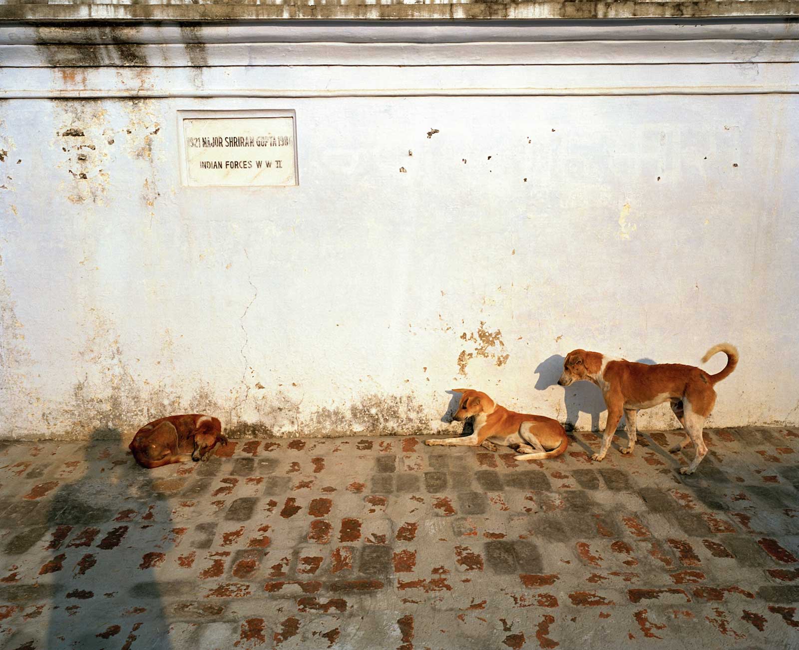 Artblog | Picture This at the PMA: India through contemporary photography