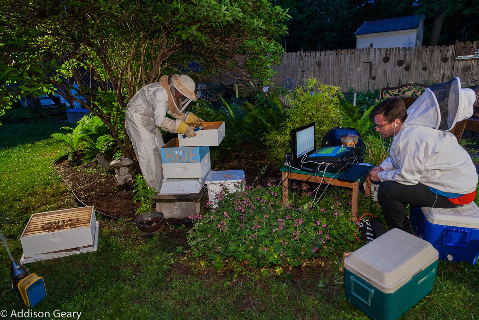 Artblog | Esther Klein Gallery features animatronics and more by Max ...