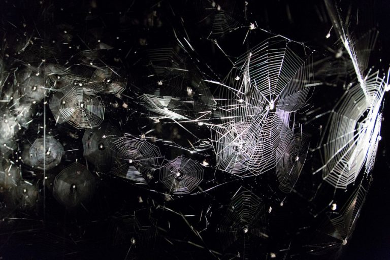 Artblog | Tomás Saraceno creates a universe from spider webs