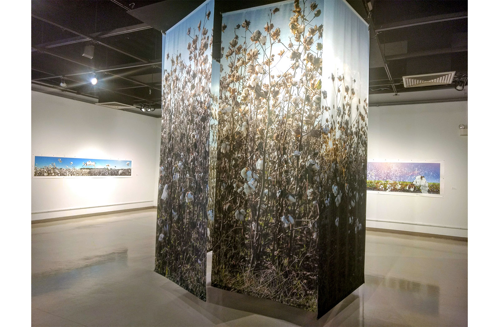 Artblog | John Dowell spins redemption from cotton’s painful history at ...