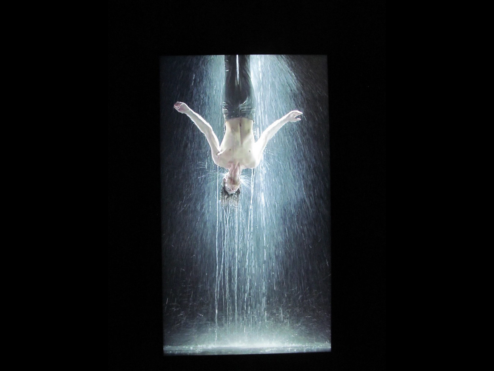 Artblog | Three Philadelphia museum curators discuss Bill Viola’s ...