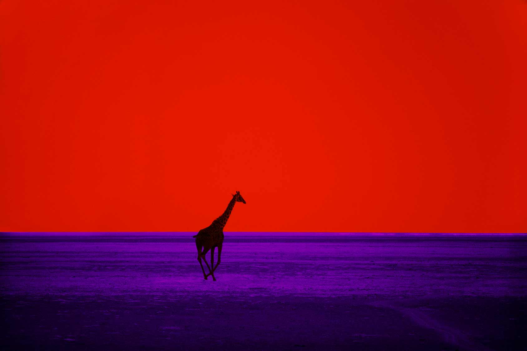 Artblog | The color-saturated photos of Pete Turner, beloved by pop ...