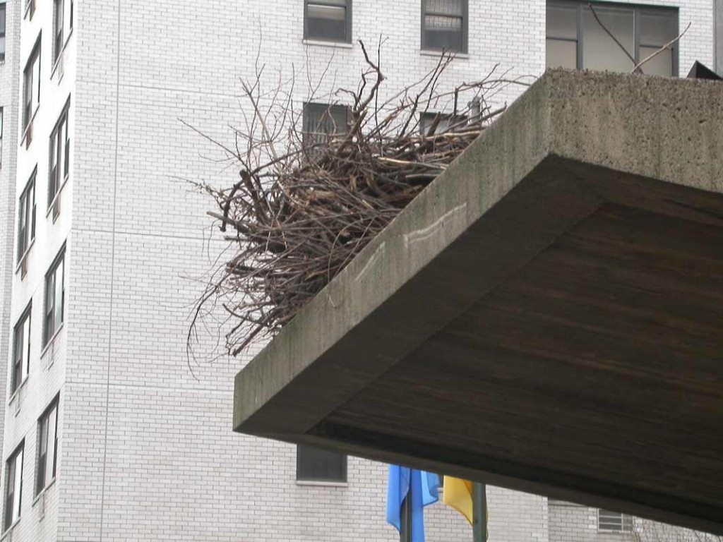 Artblog | Fritz Haeg’s Animal and Edible Estates, a lecture report